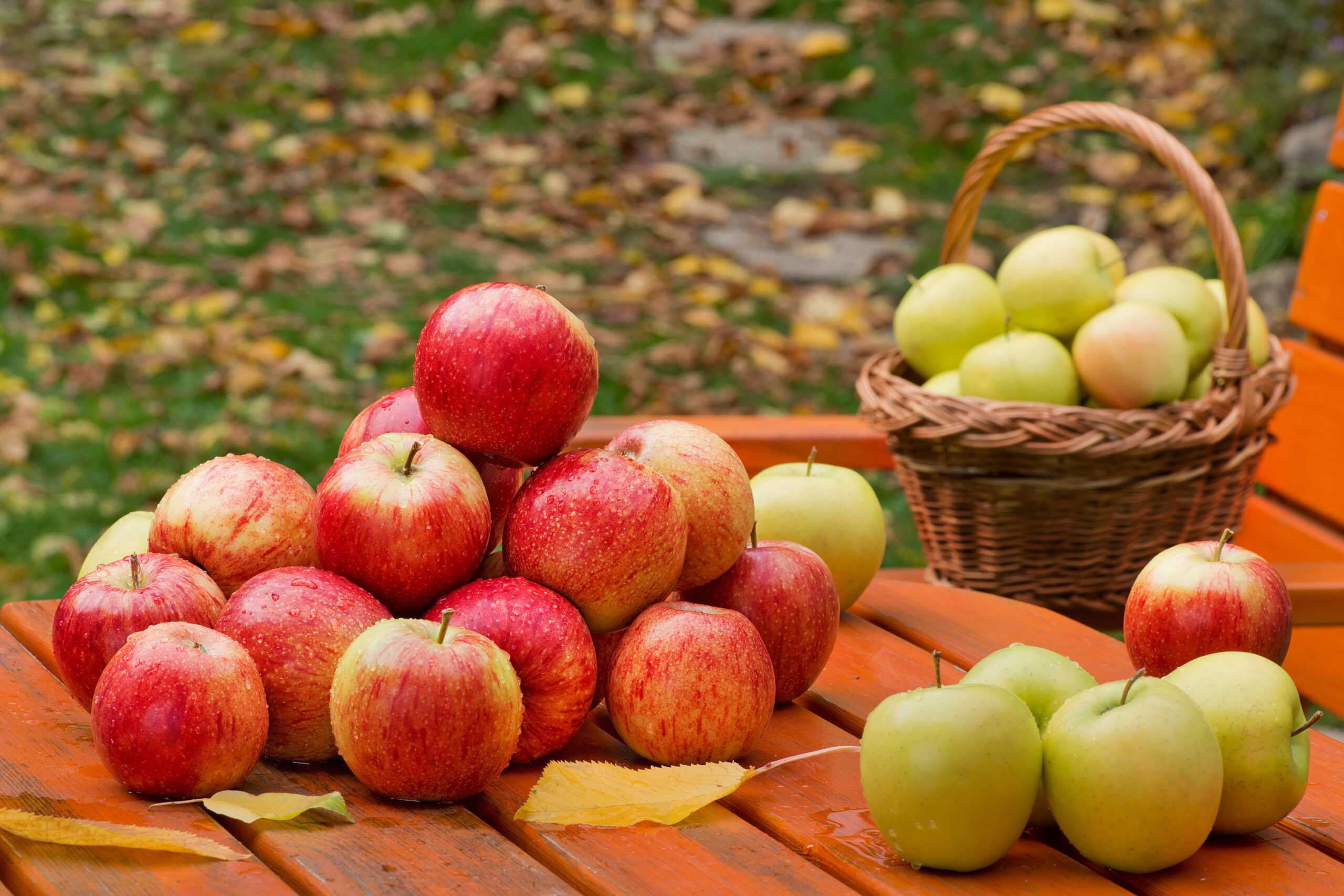 What is the number 1 fruit for healthy weight loss? - Blue Heron Health ...